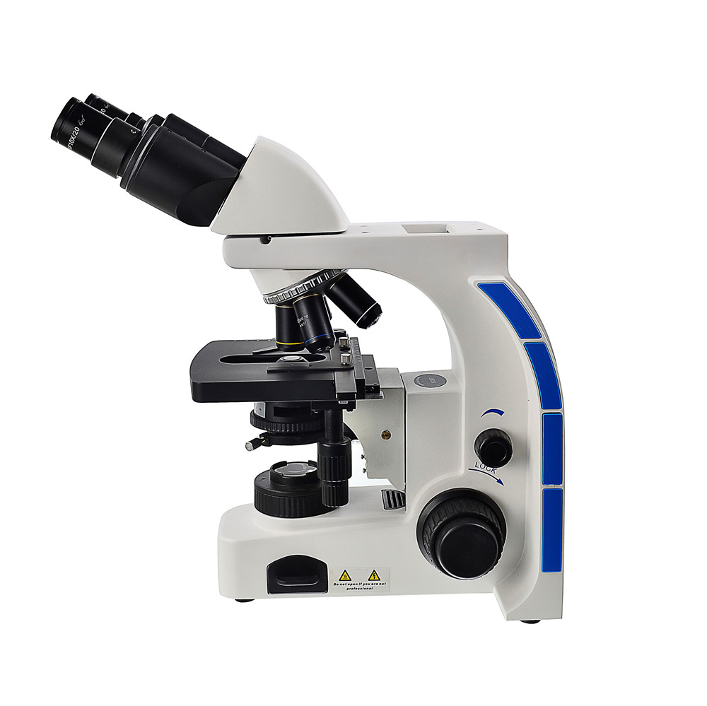 XUB200 Laboratory Biological Microscope - My WordPress Website