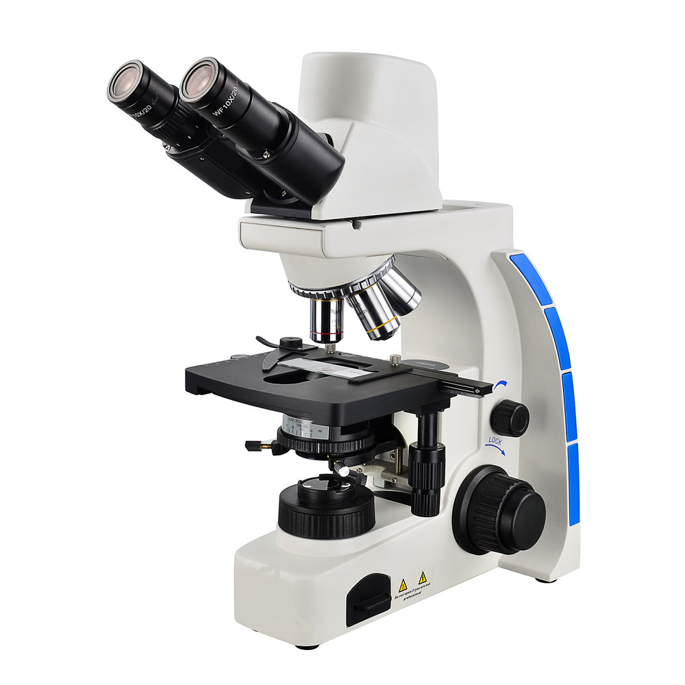 XUB200 Laboratory Biological Microscope - My WordPress Website