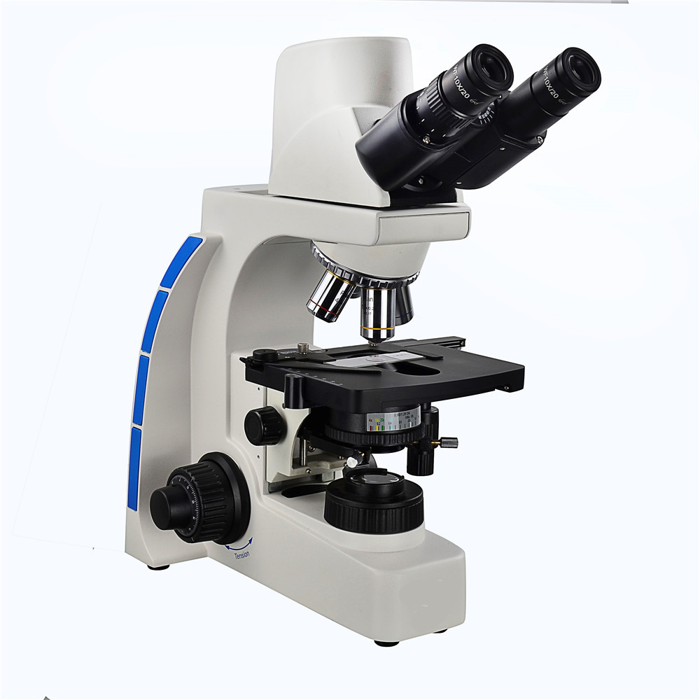 XUB200 Laboratory Biological Microscope - My WordPress Website