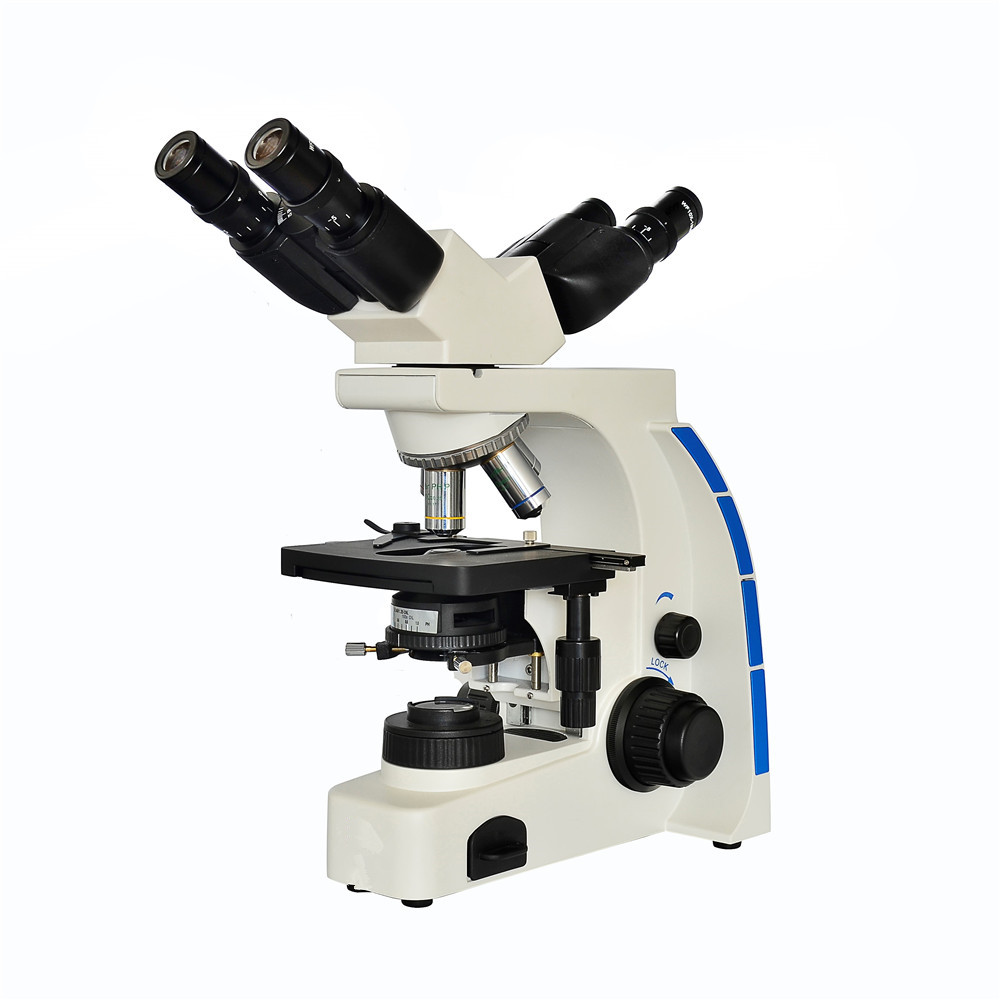 XUB200 Laboratory Biological Microscope - My WordPress Website